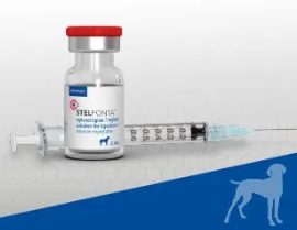 Stelfonta - Nové řešení mastocytomu u psa